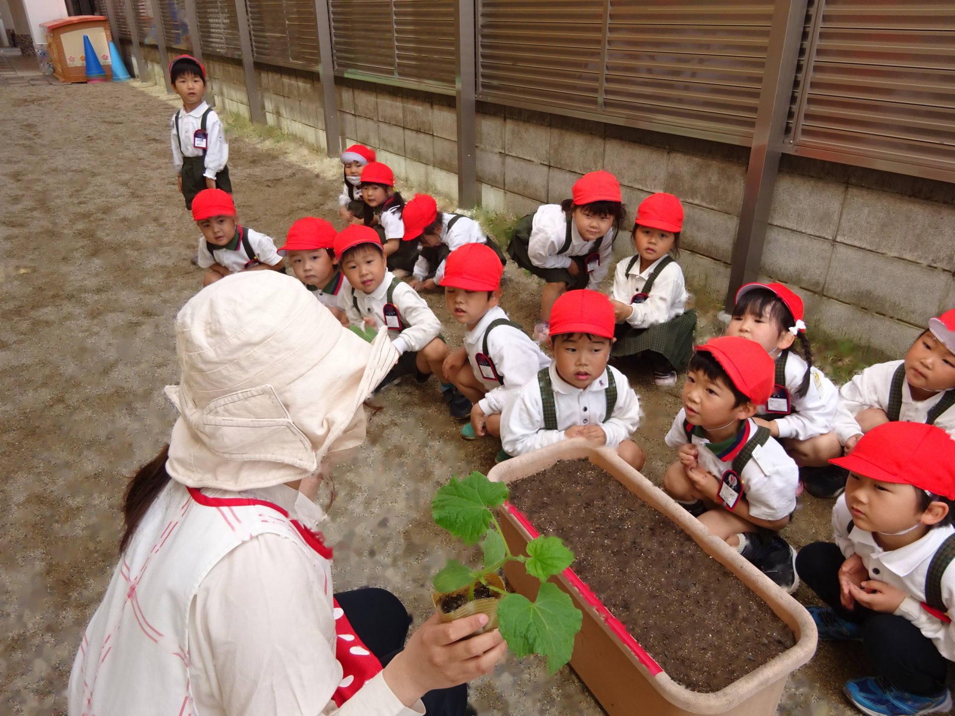 DSC08772_cmt | 花園幼稚園